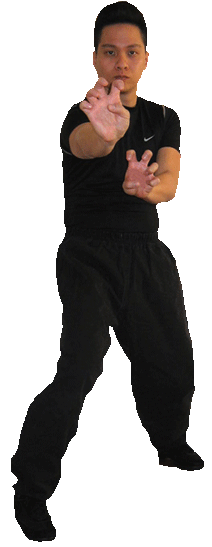 The Norfolk Unicorn Arts Kung Fu Association